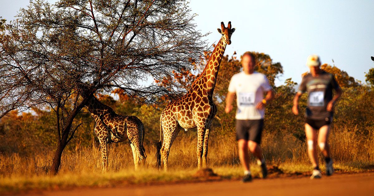 Marathon Tours – Travel, Run, Triumph